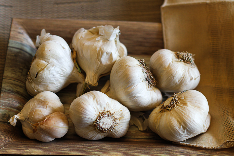 cool stuff about Garlic-yes! put it in everything! - Sizzle Kidz