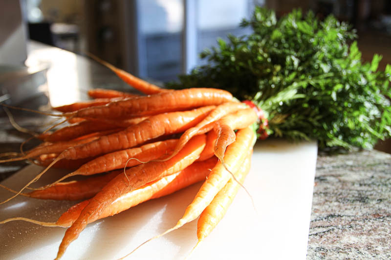 Cool Stuff About CARROTS! - Sizzle Kidz